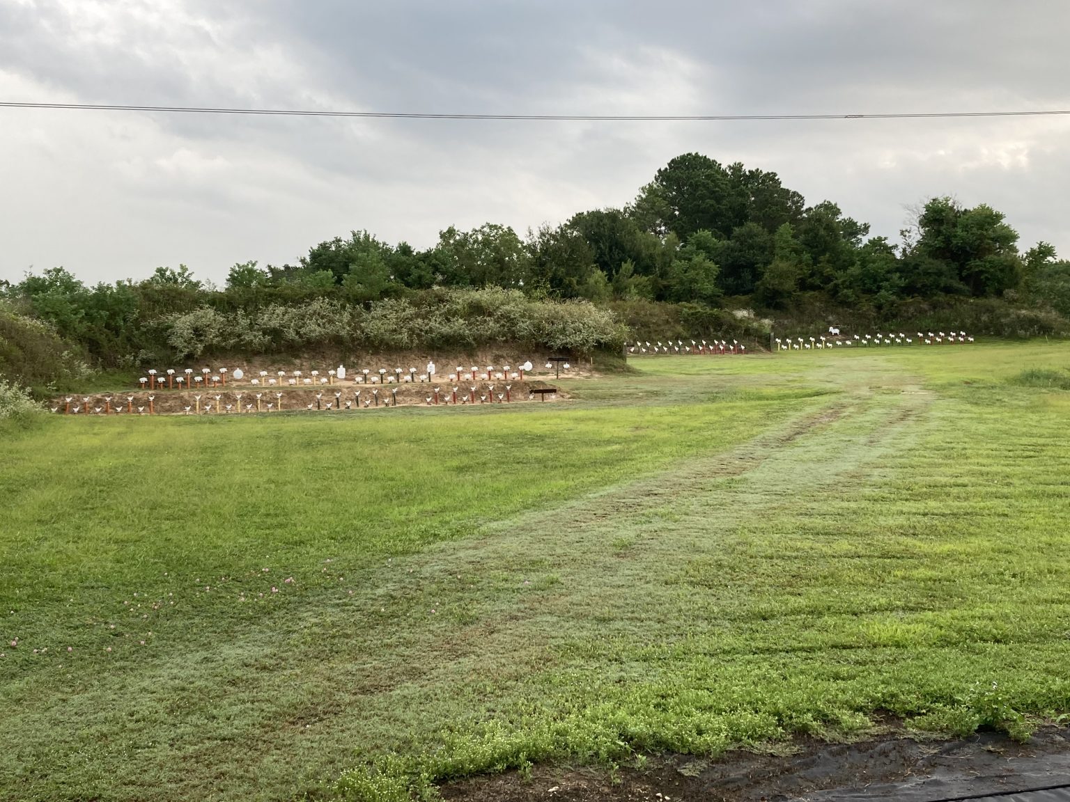 Bayou Rifles Inc. – Houston, Texas – NASSA Silhouette